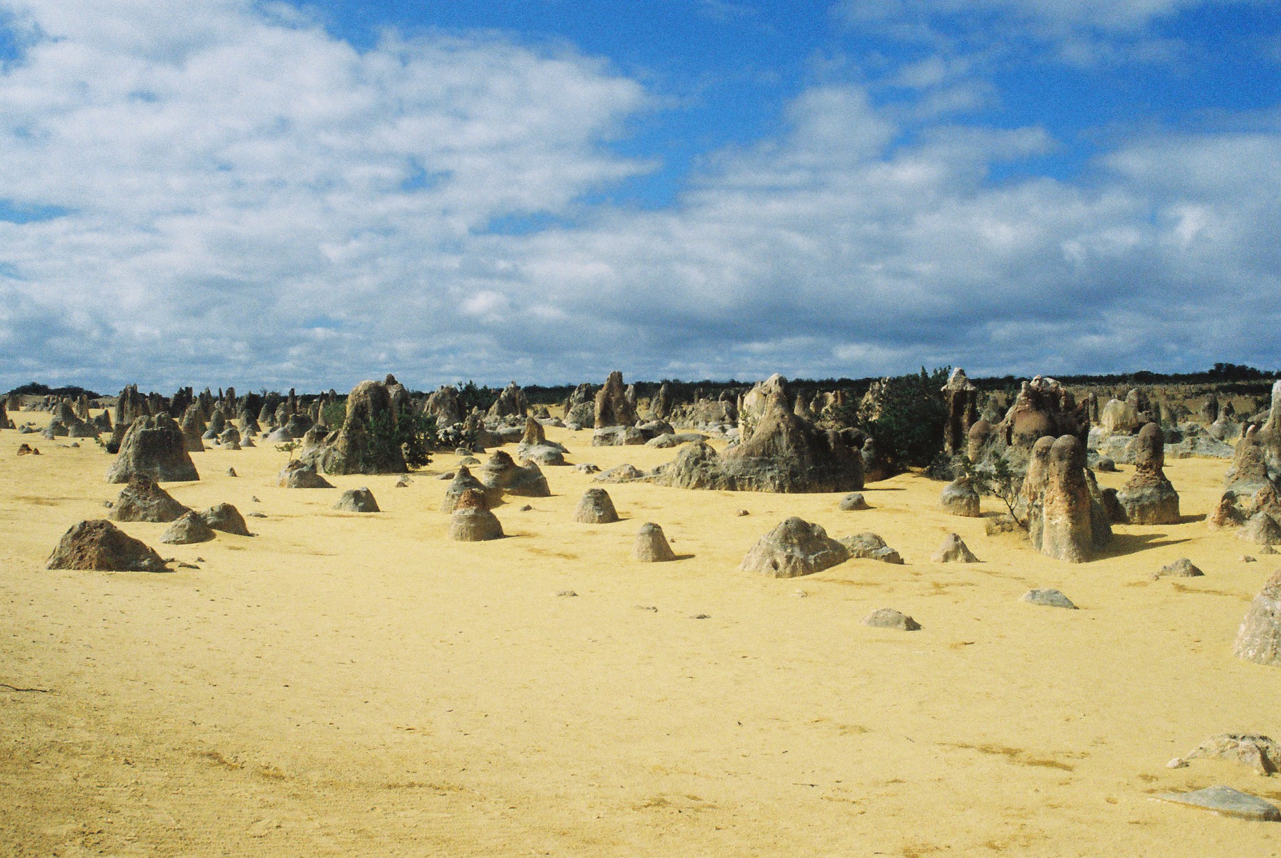 All Sunshine and No Rain Makes A Desert – Reflections of An Untidy Mind