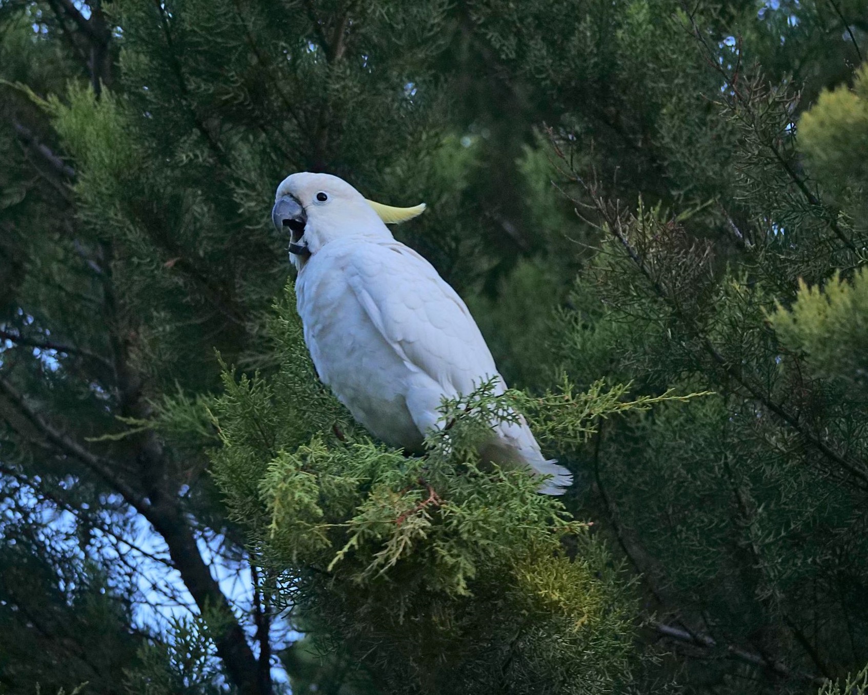 Surprise! – Reflections of An Untidy Mind