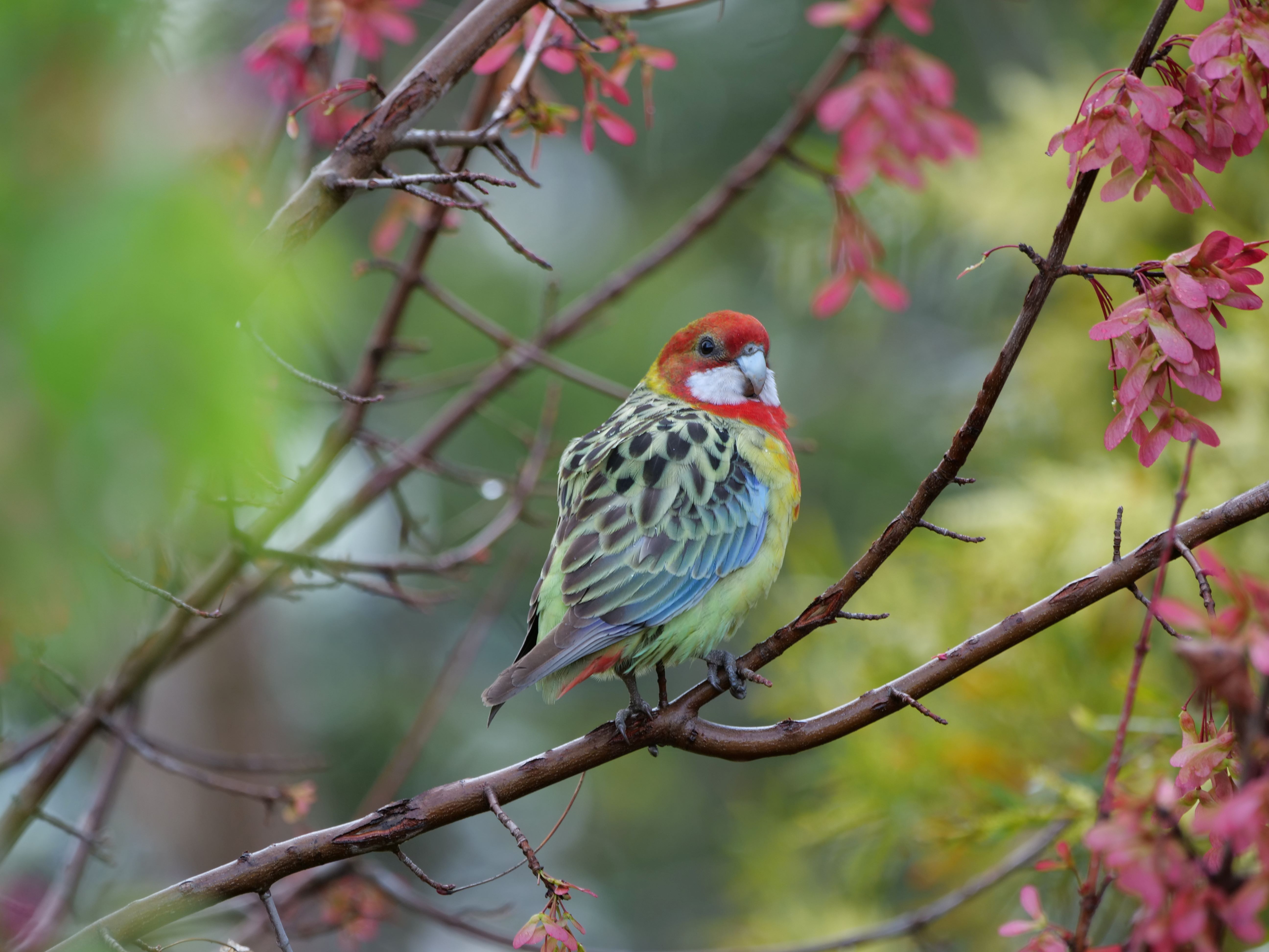 Last On The Card – Reflections of An Untidy Mind