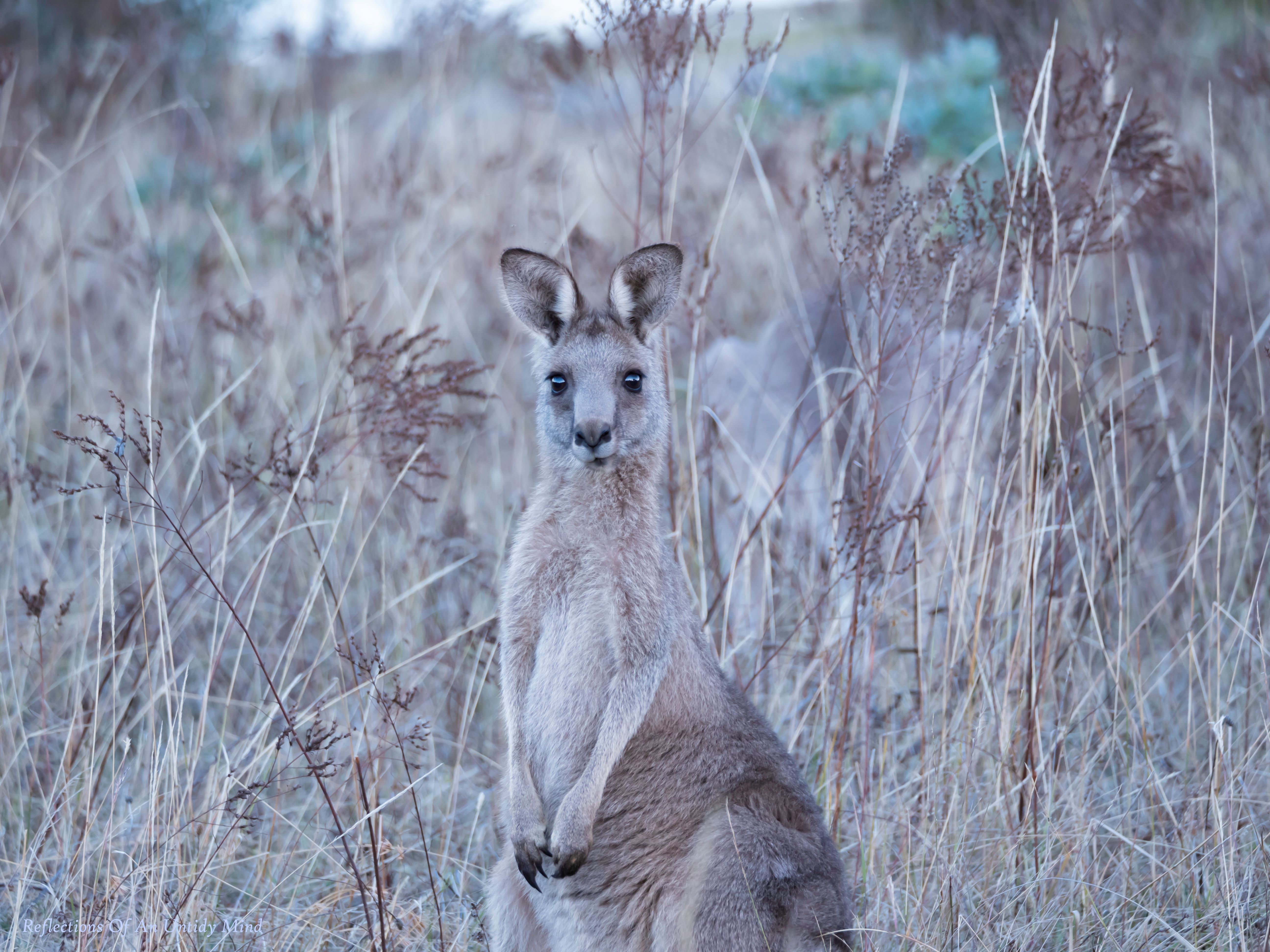 Positive Thinking – Reflections of An Untidy Mind