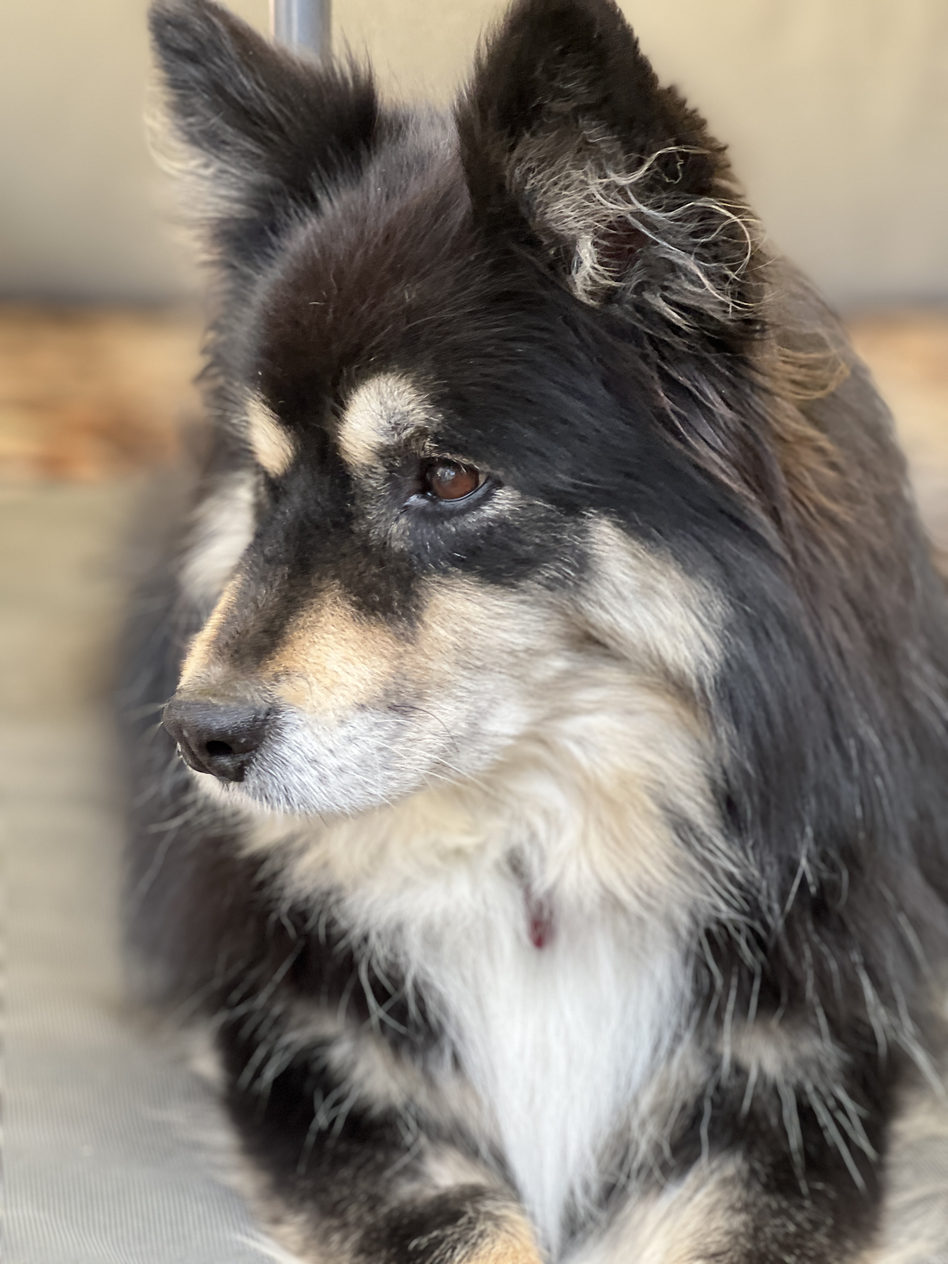 Our Girl – Reflections of An Untidy Mind