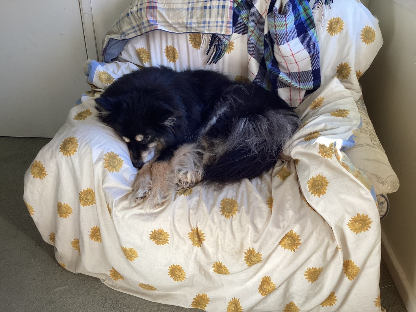 My Little Cheat – Reflections of An Untidy Mind